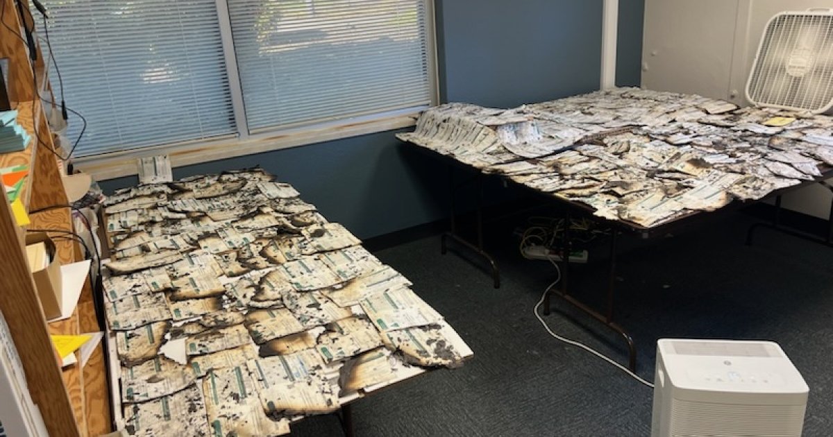 Burning of Ballot Boxes in the USA Raises Concerns Before Presidential ...