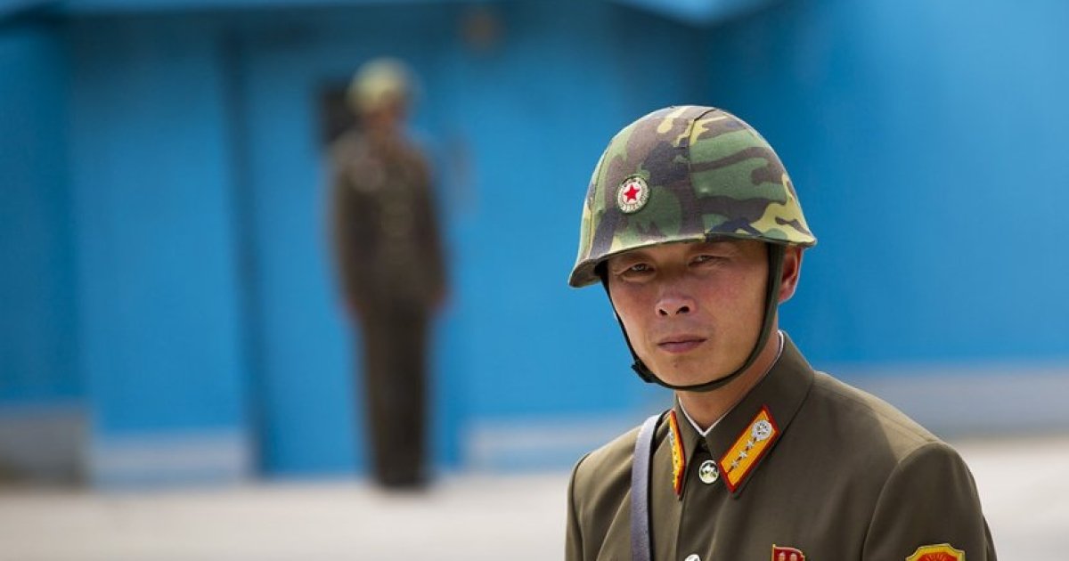 South Korean intelligence announced the losses of North Korean soldiers ...